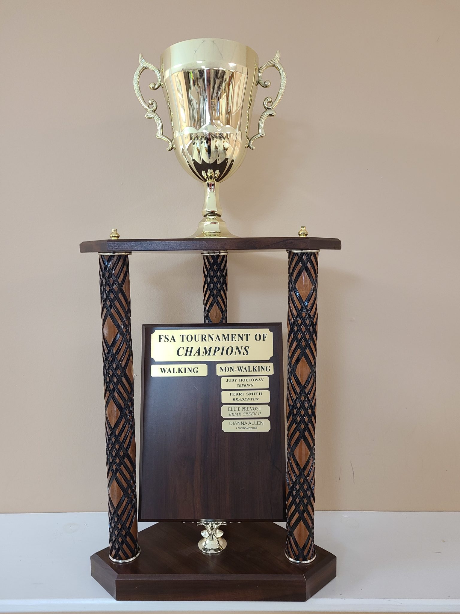 Points and Awards - Clearwater Shuffleboard Club